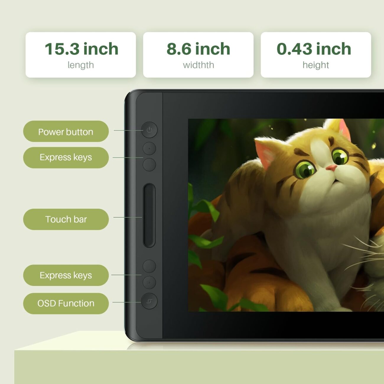 KAMVAS Pro 13(13.3 inch)